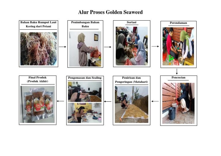 Proses Alur Golden Seaweed | PDF