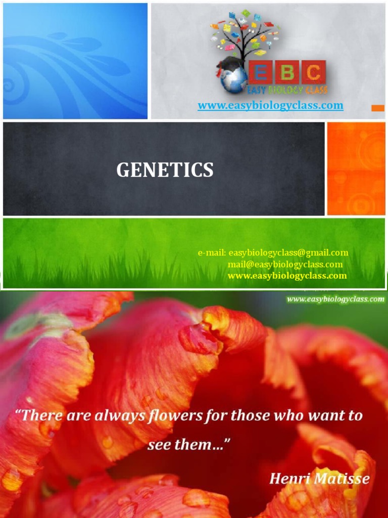 Introduction To Genetics Ppt By Easybiologyclass 2 Pdf Genotype