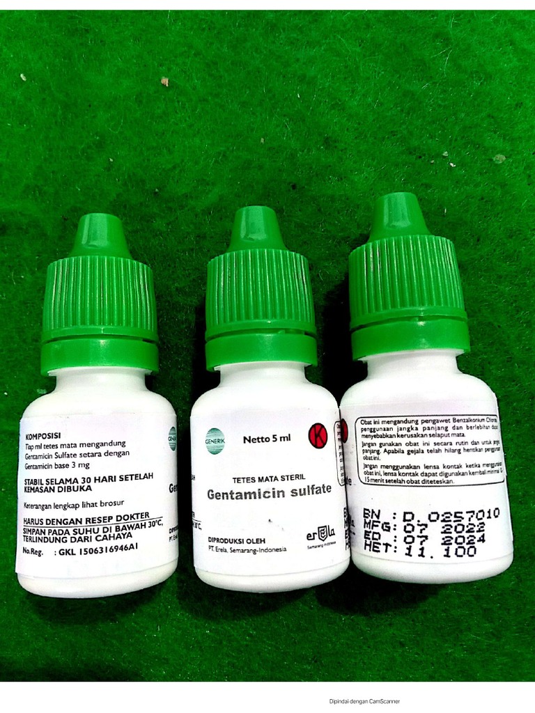 Gentamicin Tetes Mata - Erela | PDF