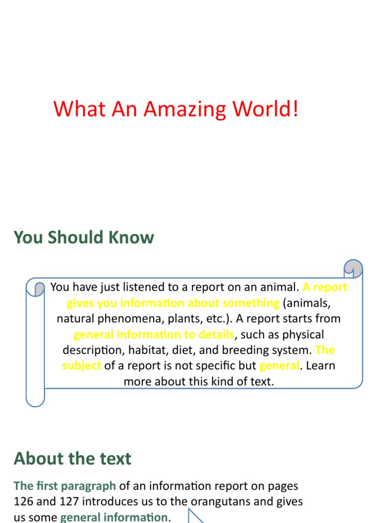 What An Amazing World! | PDF | Verb | Adverb
