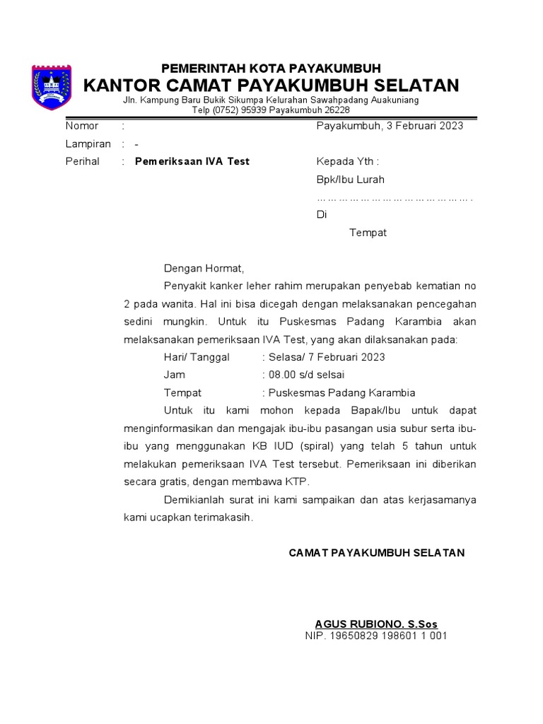 Linsek IVA Test | PDF