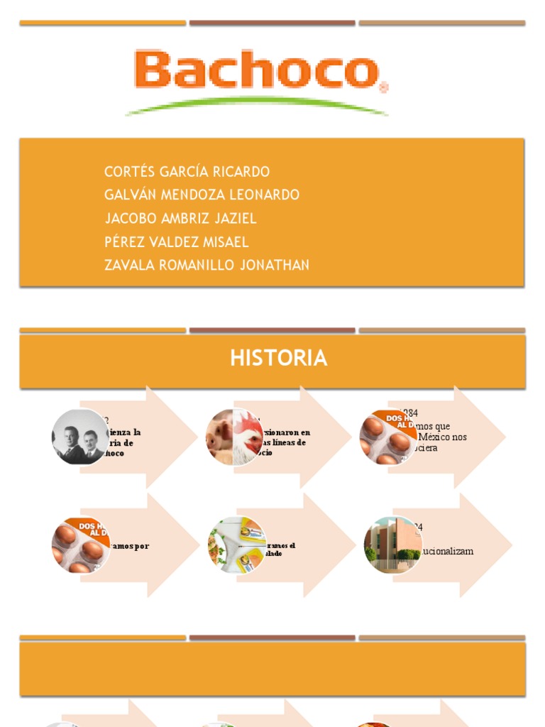 BACHOCO | PDF | Economias | Comida y bebida