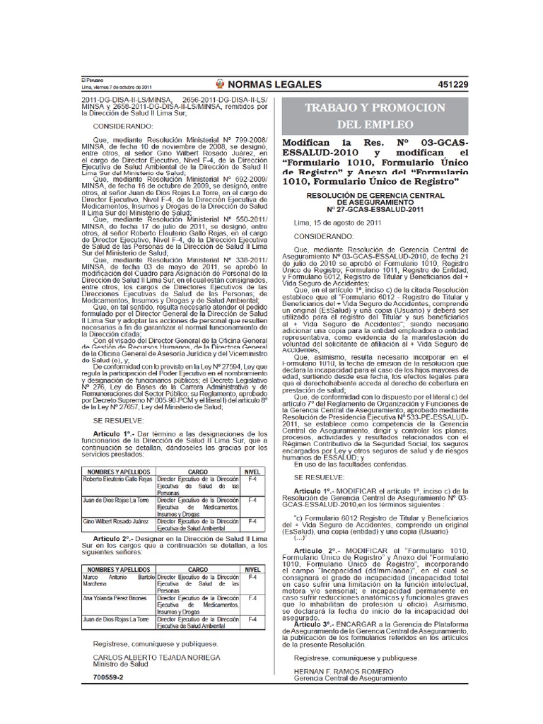 1244 0 2 Formulario 1010 Essalud PDF | PDF