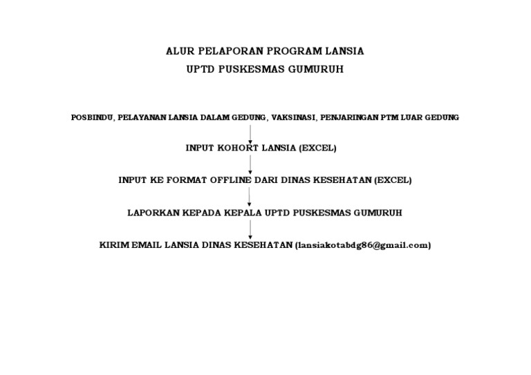 Alur Pelaporan Program Lansia | PDF | Komputer