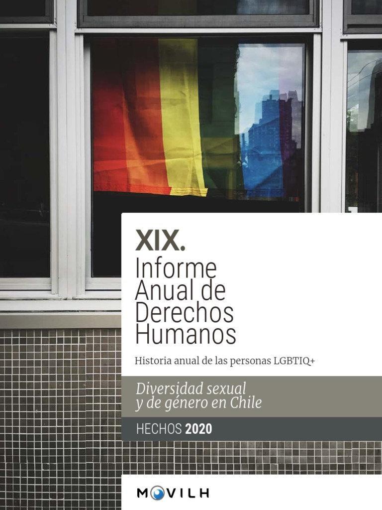 XIX Informe Anual DDHH MOVILH | PDF | Homofobia | El matrimonio del mismo sexo