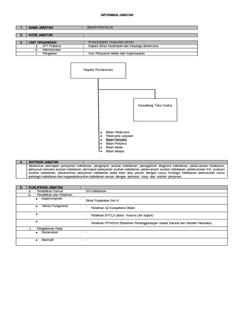 Anjab Bidan Penyelia | PDF