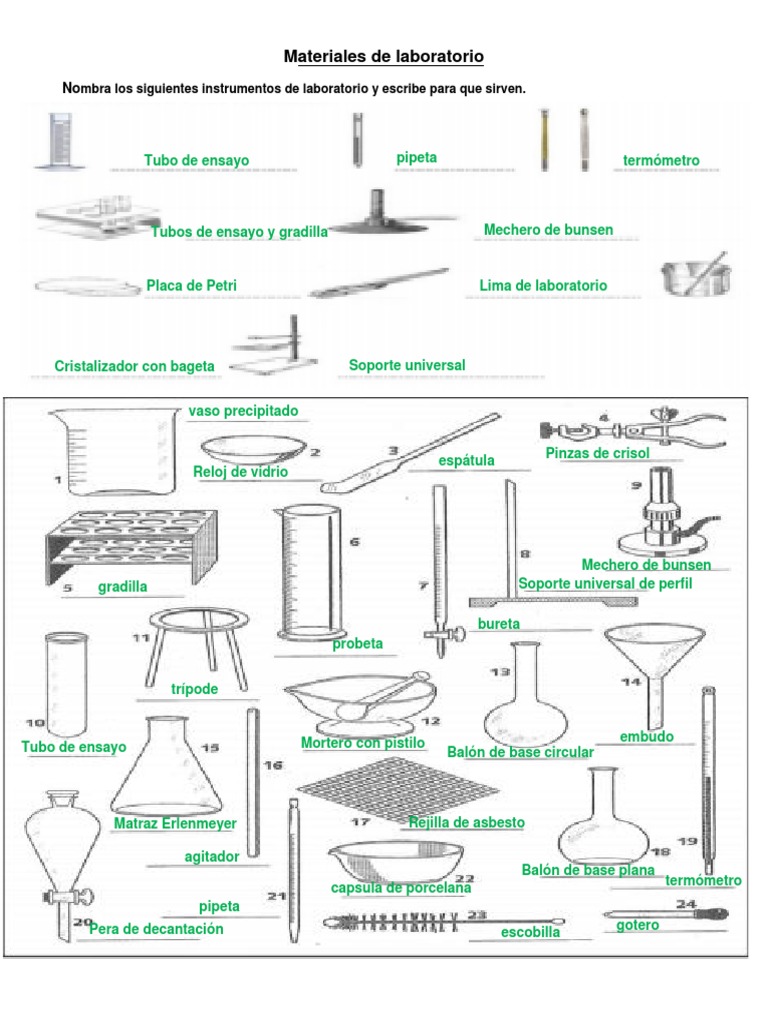 Instrumentos de Laboratorio y Funciones | PDF