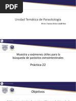 Caso PR Ctico 2 Resuelva El Caso Miriam en El Que Debe Determinar El Diagn Stico en Base Al DSM ...