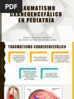 Protocolo GHOST-CAP para Neuroprotección | PDF