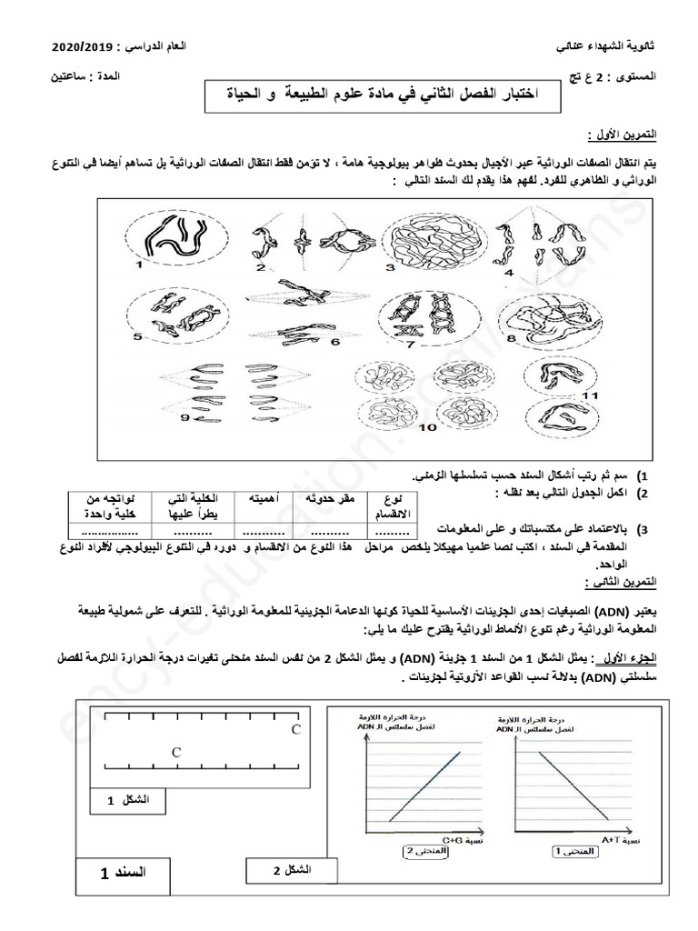 Dzexams 2as Sciences 996687 PDF | PDF