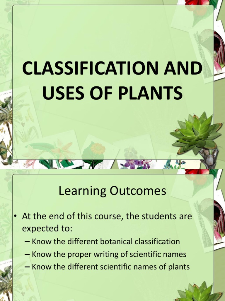 Plant Classification & Uses Course | PDF | Taxonomy (Biology) | Legume