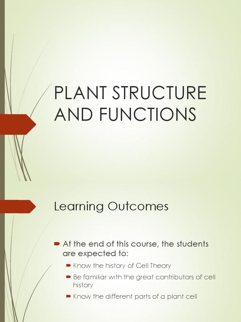 Week 4 - Plant Structure and Functions | Download Free PDF | Cell ...