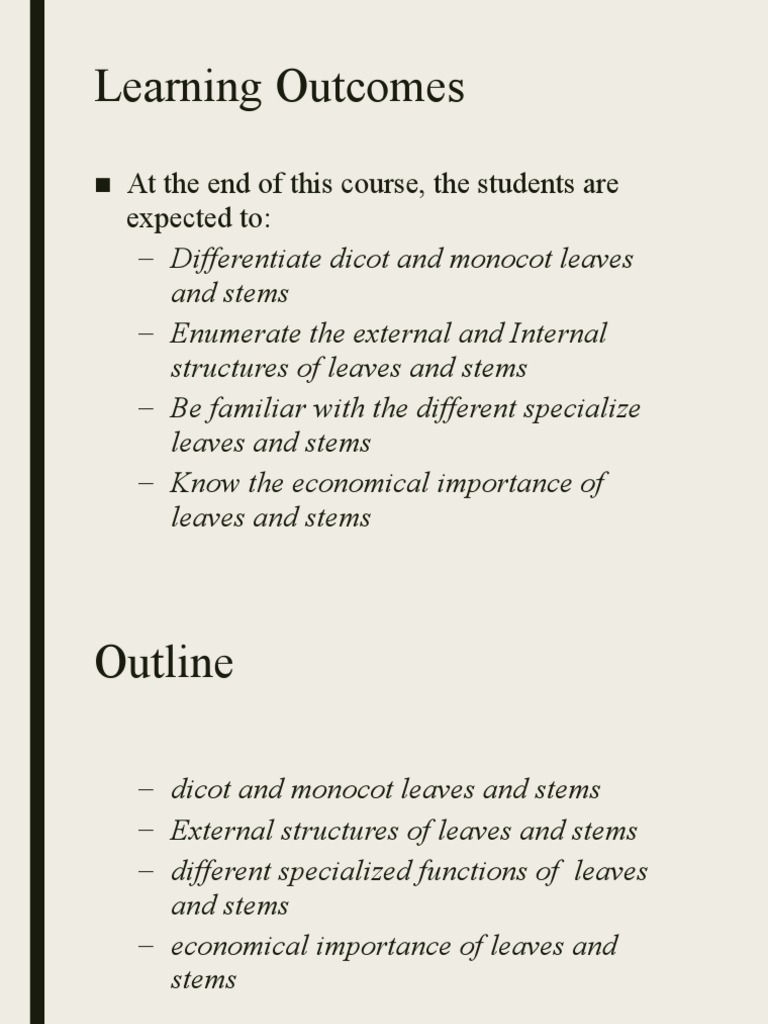 Week 8 - Leaves and Stems | PDF | Leaf | Plant Stem