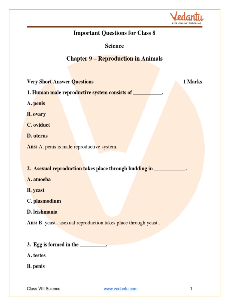 Important Questions For CBSE Class 8 Science Chapter 9 PDF | PDF ...