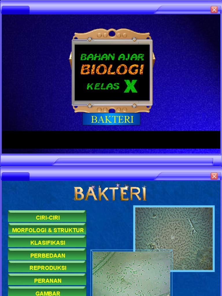 Bakteri | PDF