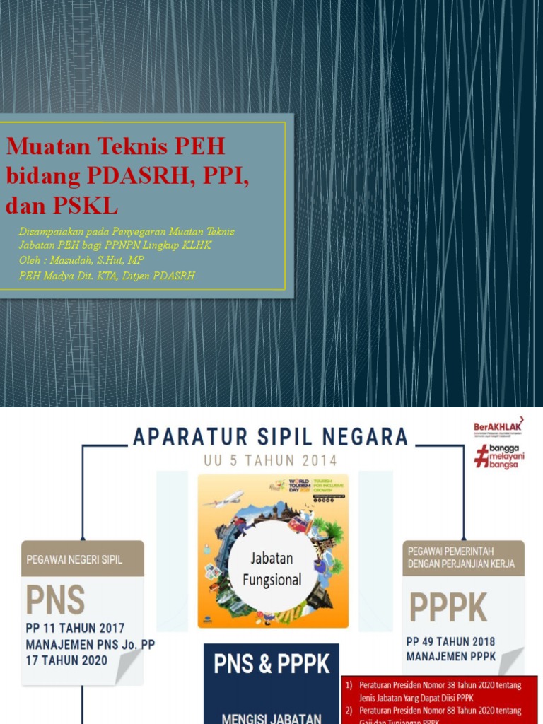Muatan Teknis PEH Bidang PDASRH, PPI, PSKL | PDF
