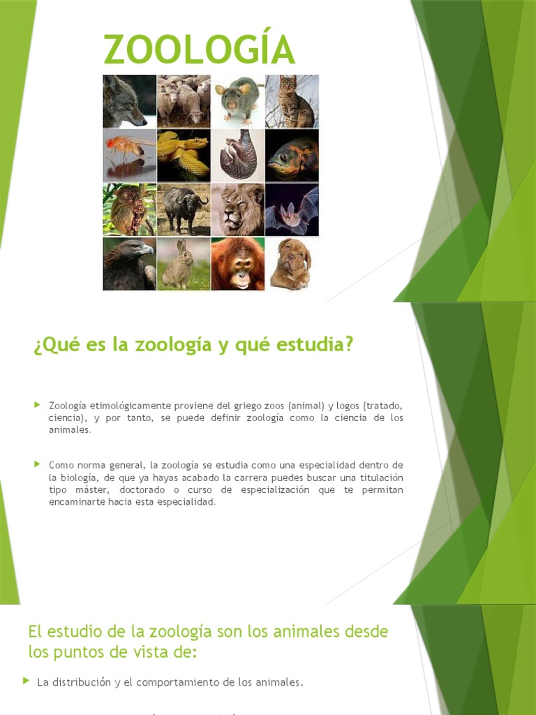 ZOOLOGÍA | PDF | Depredación | Mar