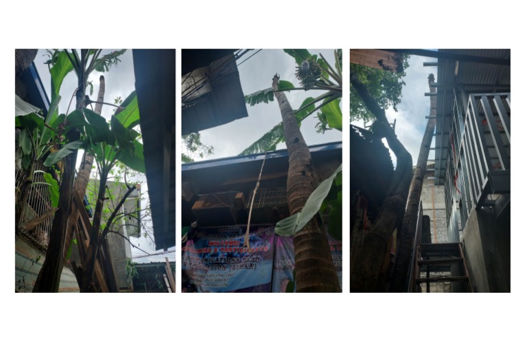 BUKO | PDF