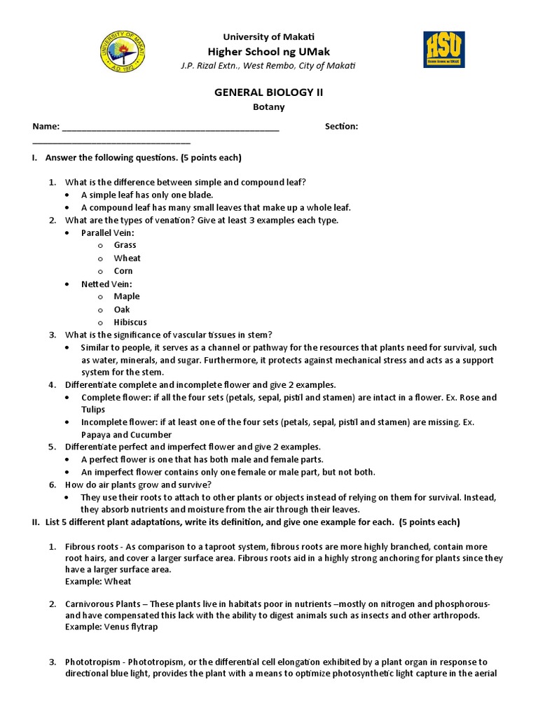 Topic 1 and 2 (Botany Activity) | PDF | Leaf | Root