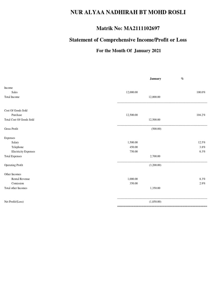 CS5 Sopol | PDF | Income | Net Income