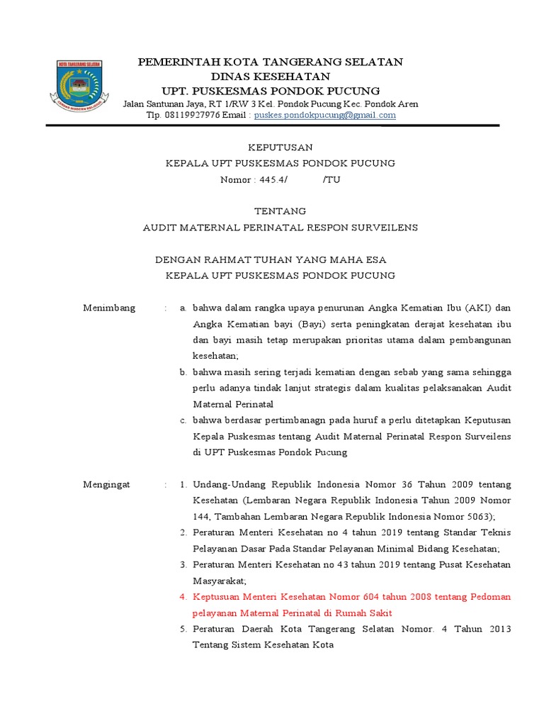 Audit Maternal Perinatal Puskesmas Pondok Pucung | PDF | Pengembangan ...