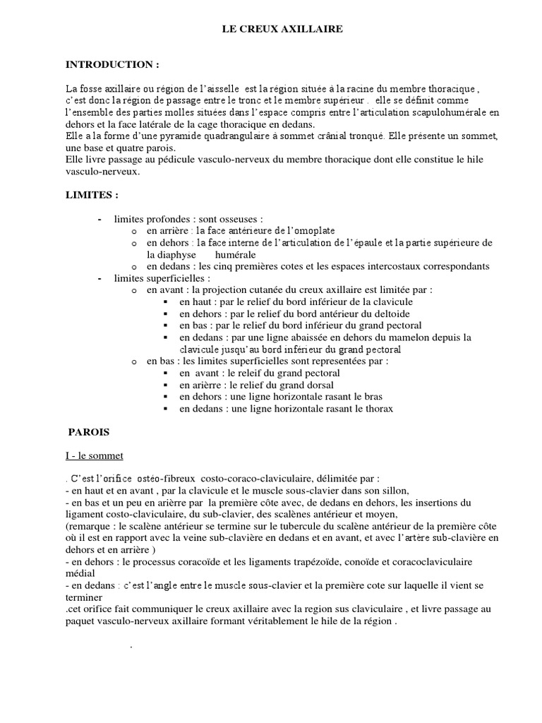 Le Creux Axillaire | PDF | Bras | Anatomie