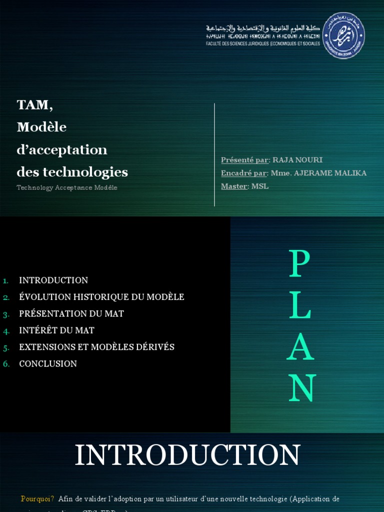 Présentation 5 - TAM | PDF | Cognition