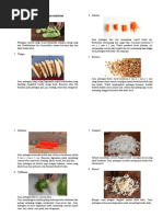20 Jenis Potongan Sayuran Kreatif | PDF