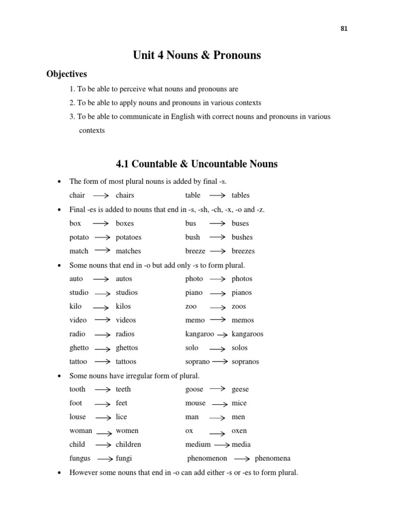 Unit 4 Nouns and Pronouns PDF | PDF | Noun | Grammatical Number