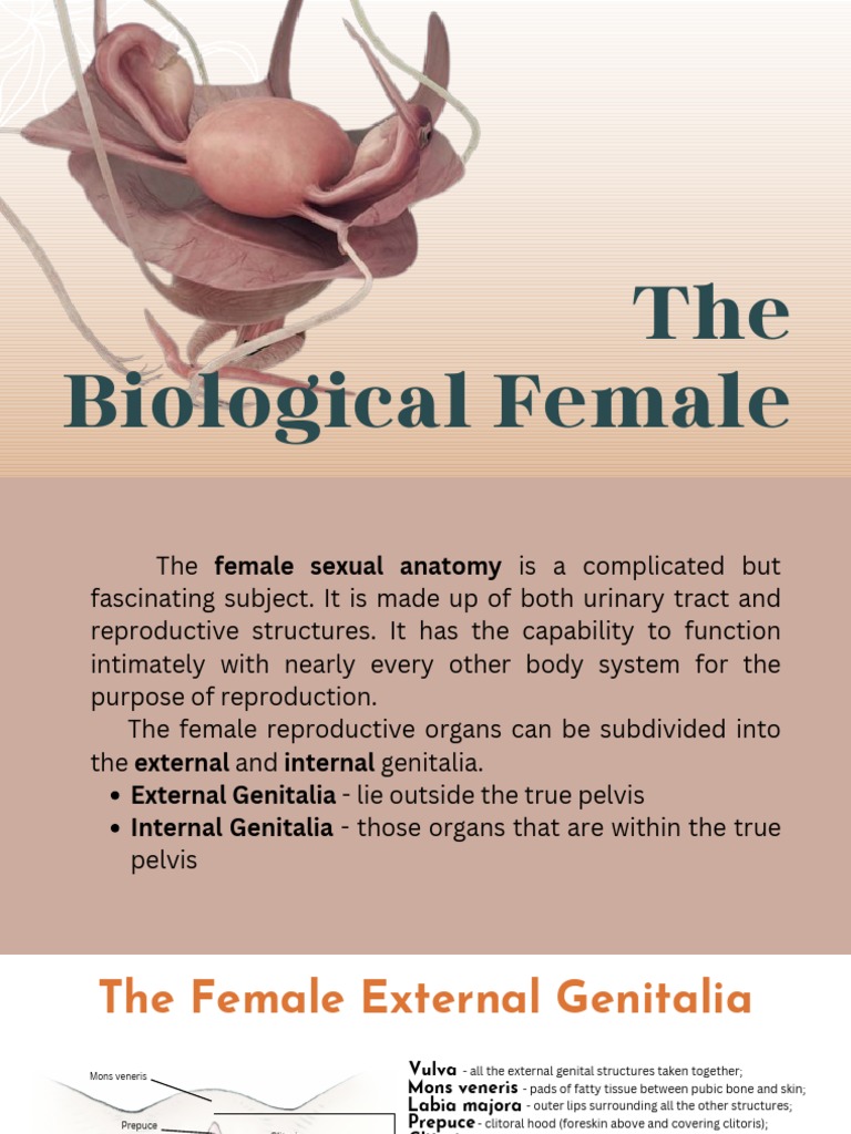 The Biological Female | PDF | Vagina | Labia