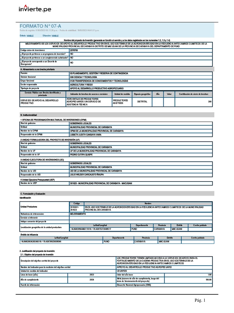 Formato 7A Aprobado | PDF | Inversiones | Economias