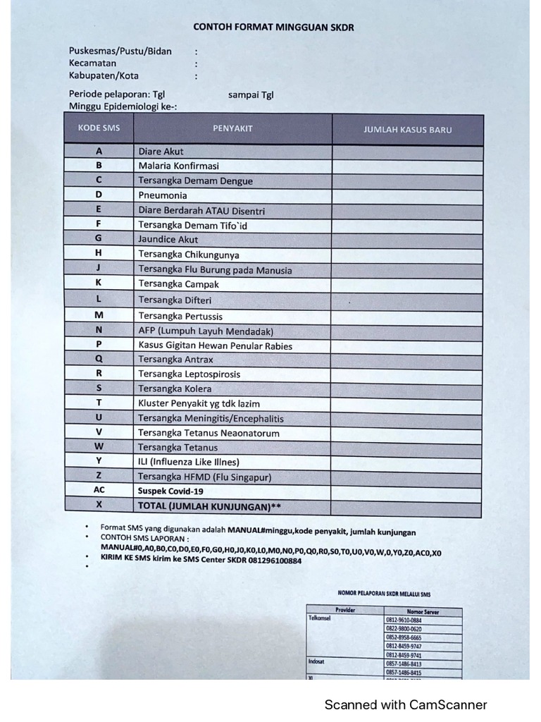 Format Laporan SKDR Terbaru | PDF