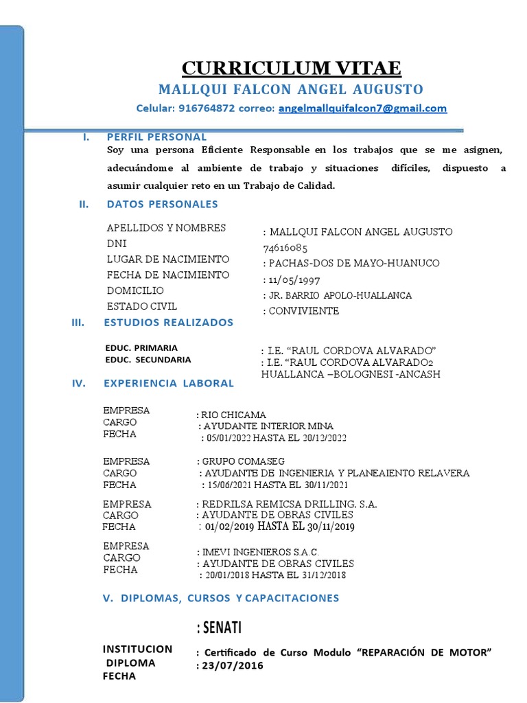 CURRICULUM VITAE ANGEL MALLQUI FALCON (0) - para Insertar Certi Joven | PDF