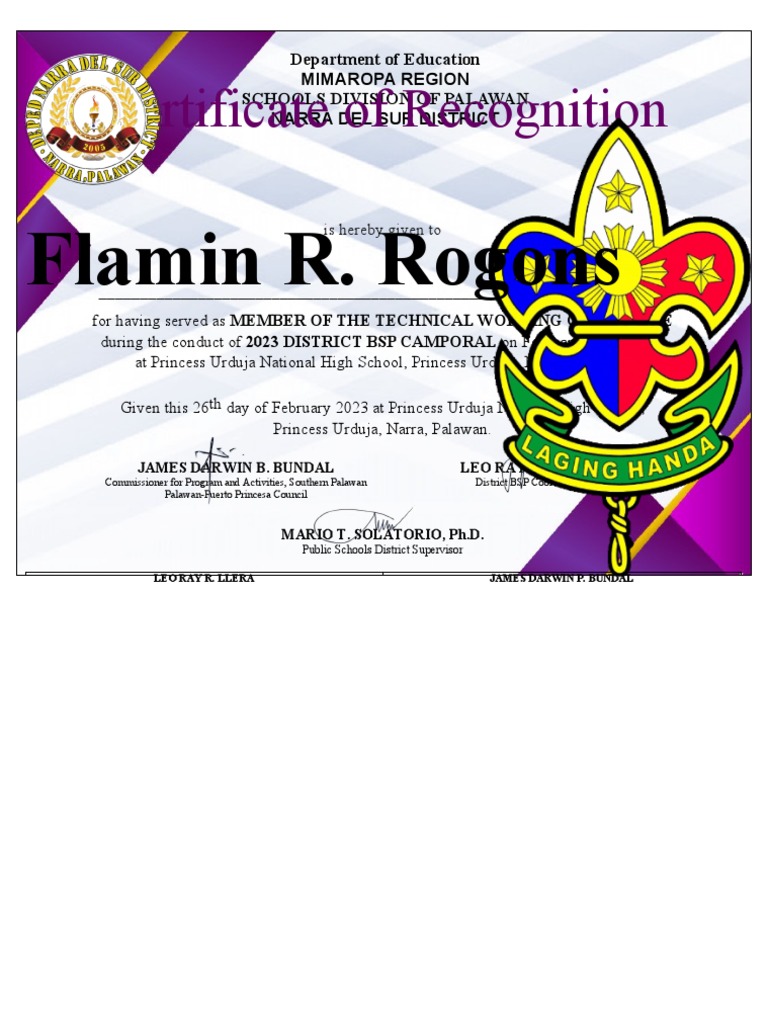 District BSP Cert Adult TWG | PDF