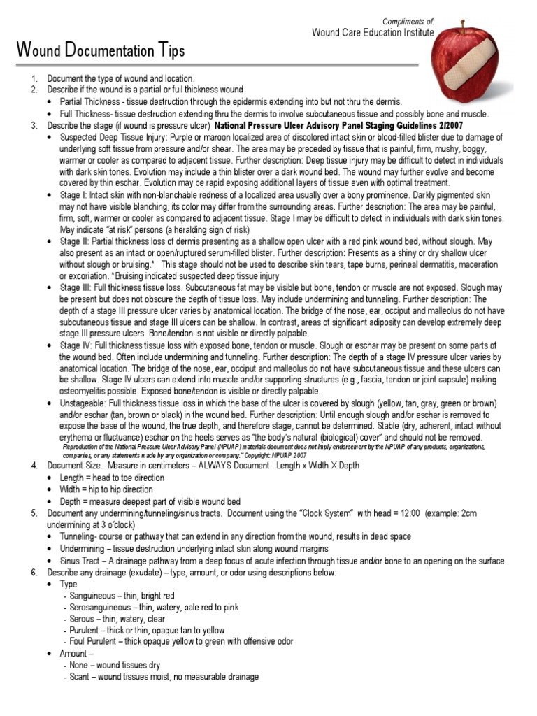 Wound Documentation Tips PDF | PDF | Anatomical Terms Of Location ...