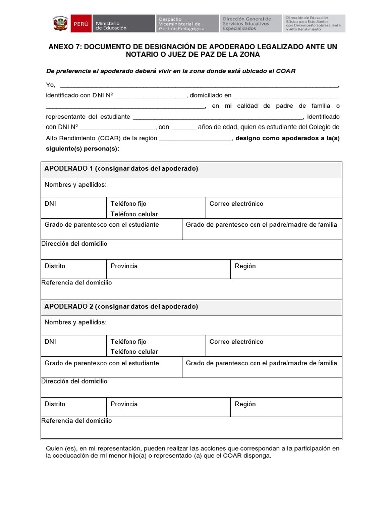 Instrucciones para Llenar Anexo 7 | PDF