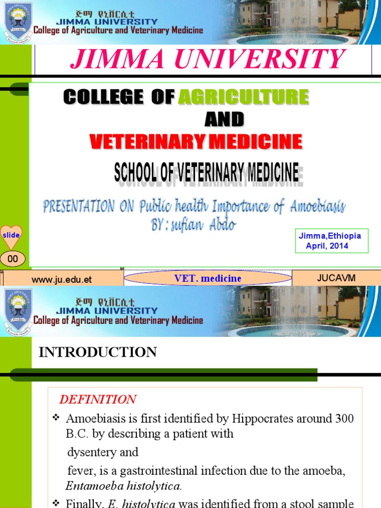 ANIMAL AMOEBIASIS PPT | PDF | Immunology | Medical Specialties