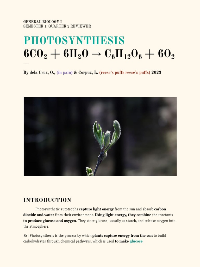 Q2 GenBio Reviewer 2 | PDF | Cellular Respiration | Diet & Nutrition