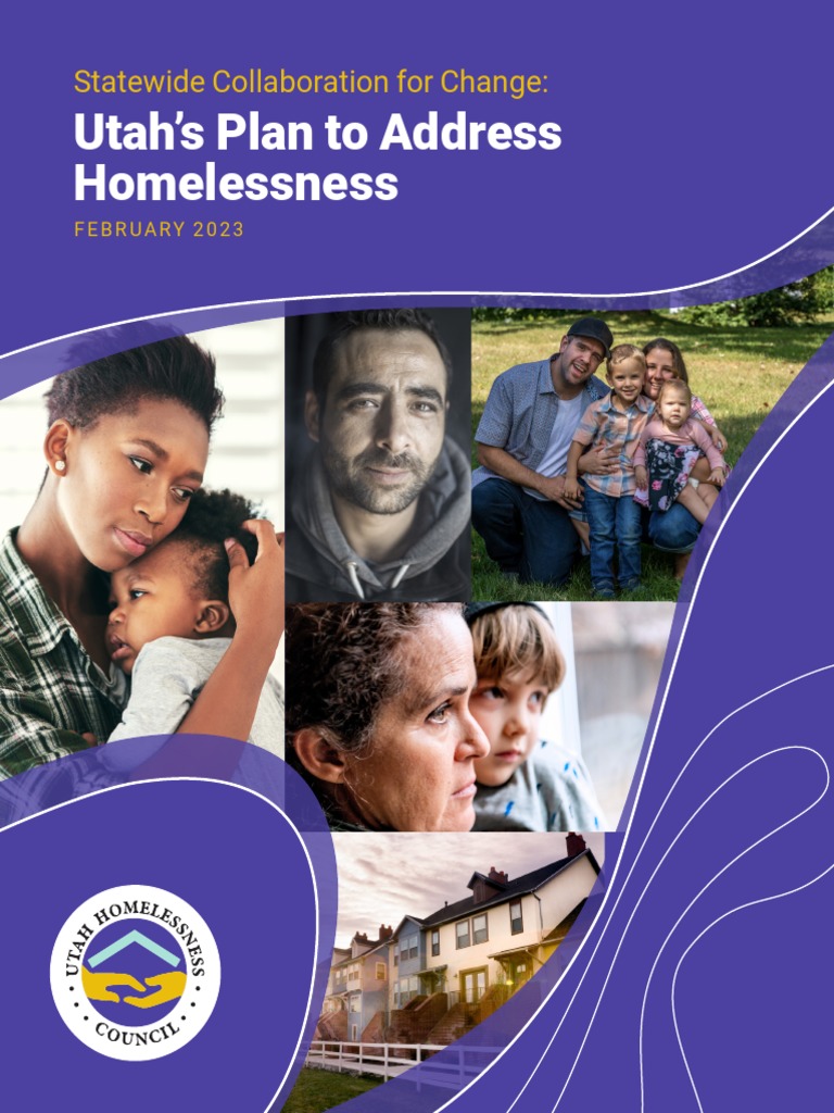 Homelessness Strategic Plan | PDF | Homelessness | Needs Assessment