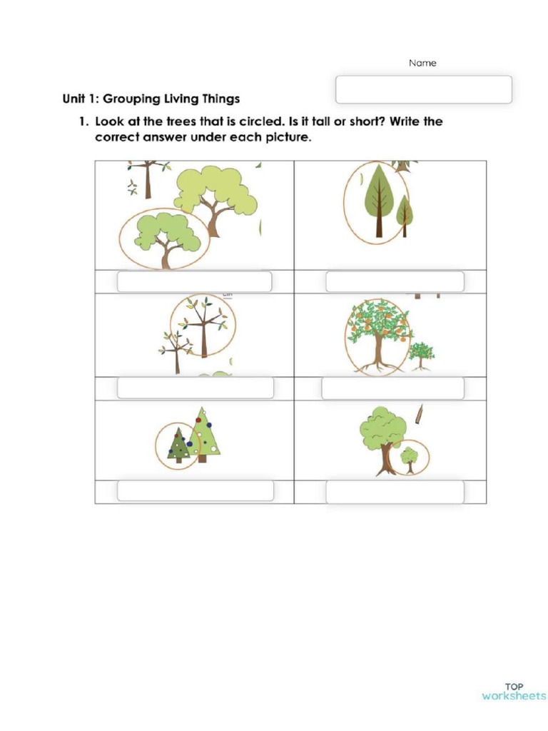 Science Year 3 PDF | PDF