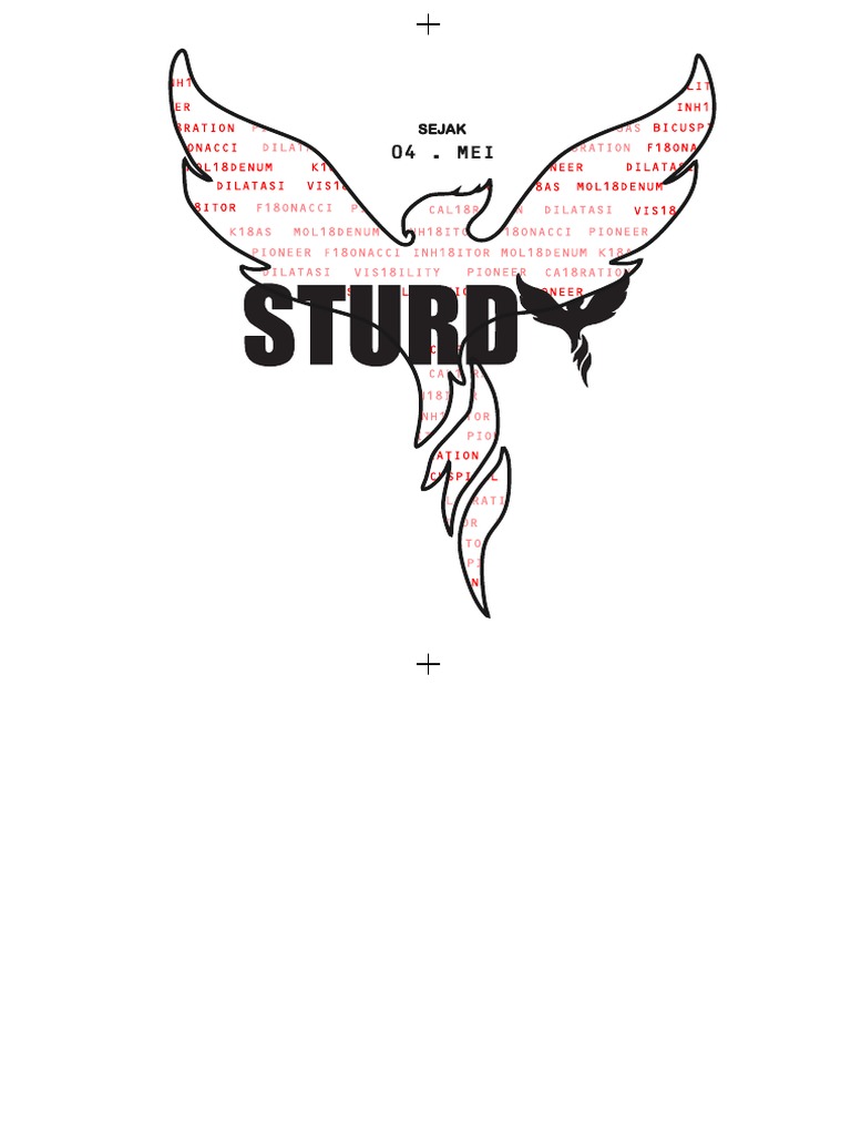Sturdy 1 | PDF