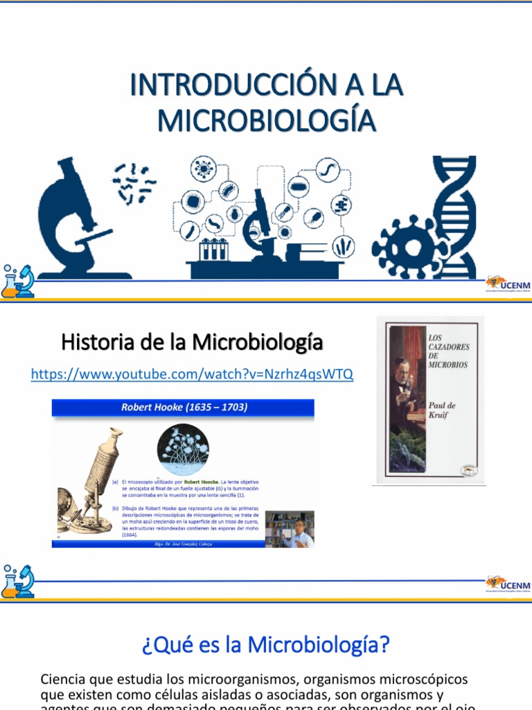 4 Introducción A La Microbiología 2 | PDF | Hongo | Las bacterias