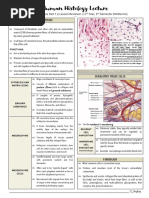 Trans Template | PDF | Arial | Typefaces