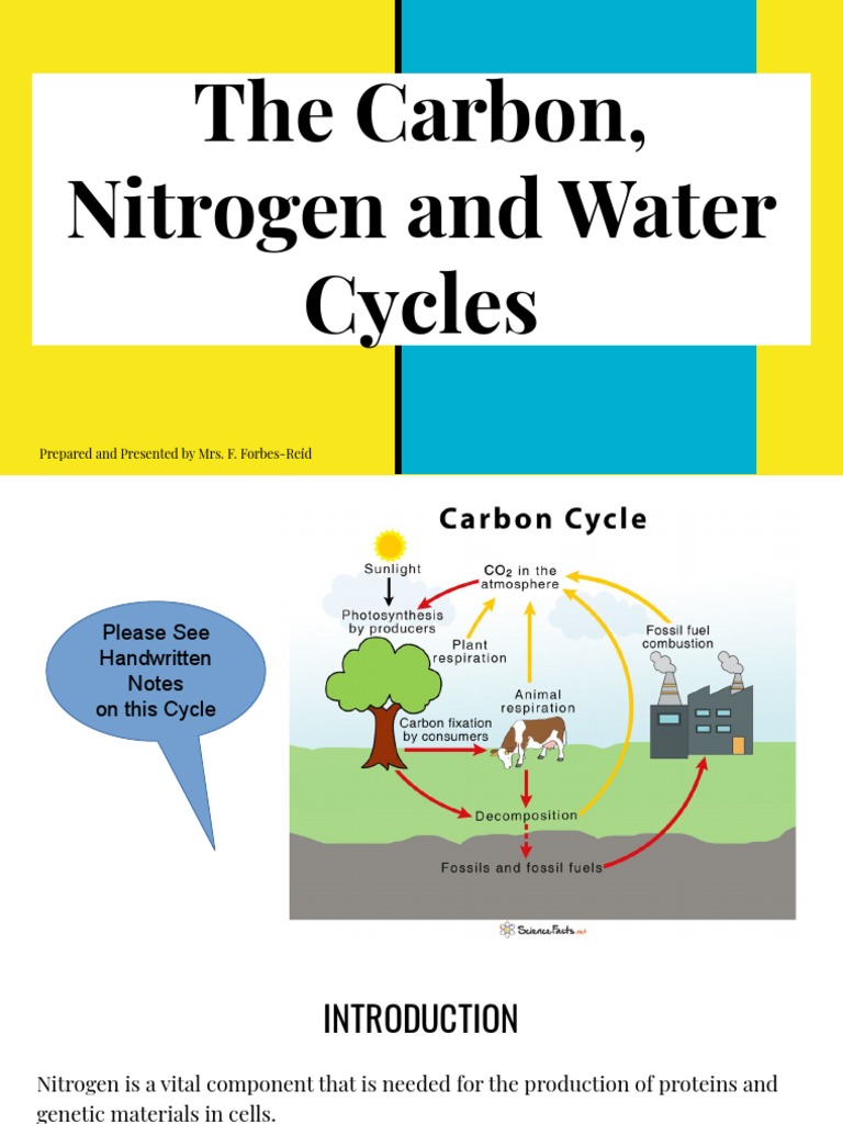 Geochemical Cycles | PDF | Nitrogen | Chemical Elements