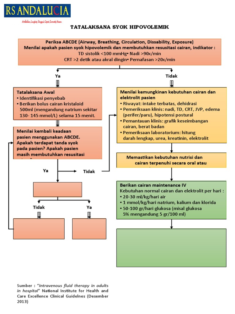 Penatalaksaan Syok Hipovolemik | PDF