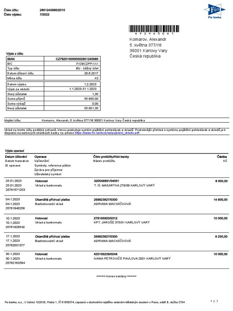 Statement Czech | PDF