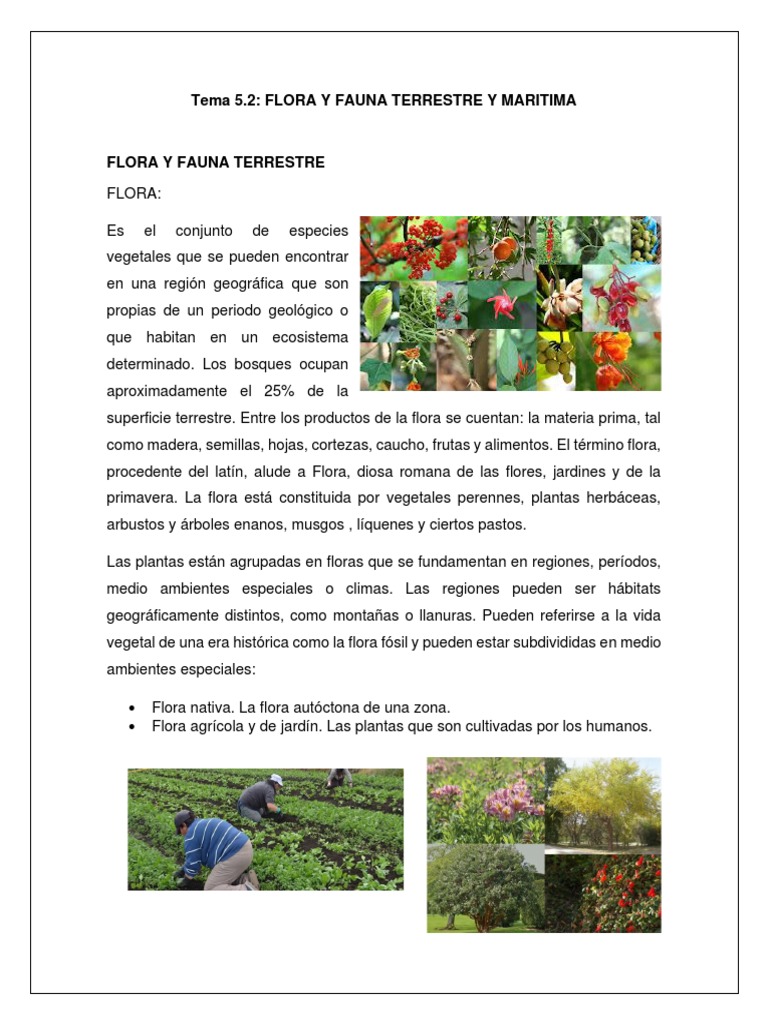 Flora y Fauna de Ecosistemas Terrestres | PDF | Clima templado | Ecosistema