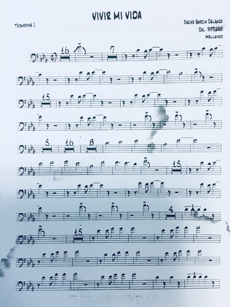 Vivir Mi Vida | PDF