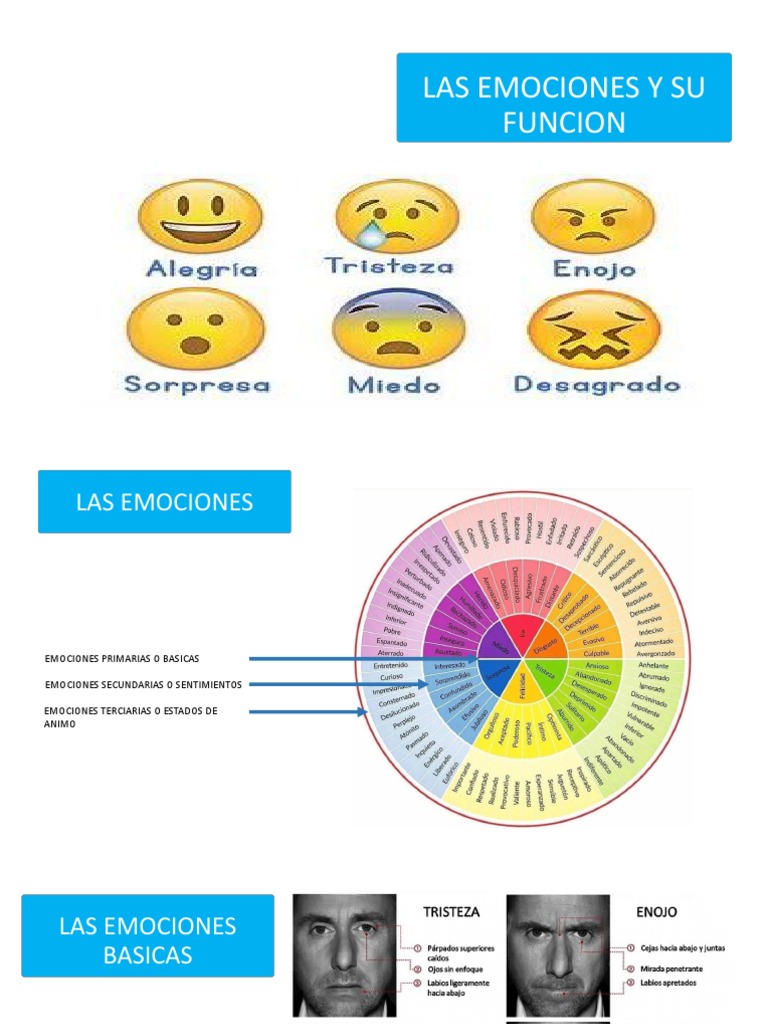 Las Emociones | PDF | Artes del Lenguaje y Comunicación | Relaciones ...