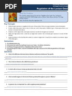 Amoeba Sisters Enzyme Handout | PDF | Enzyme | Catalase